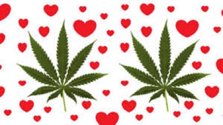 NEW SMOKING GUIDELINES GO IN EFFECT SOON!! – Dr. Michael LoGuidice